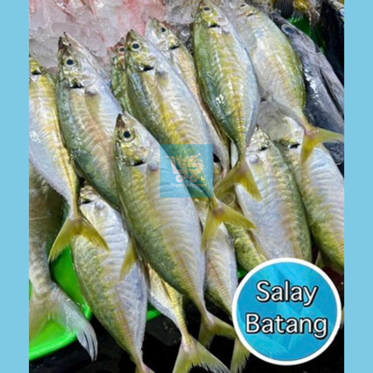 Salay-salay Batang (Yellowstripe Scad) – 4R Fresh And Frozen