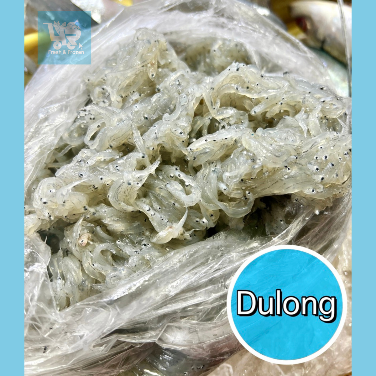 Dulong (Silverfish) – 4R Fresh And Frozen