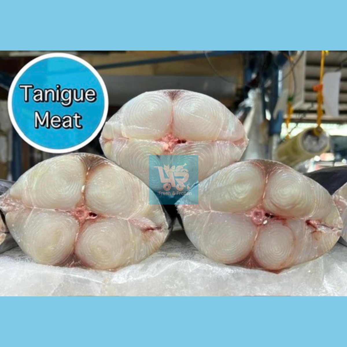 Tanigue (Spanish Mackerel) – 4R Fresh And Frozen