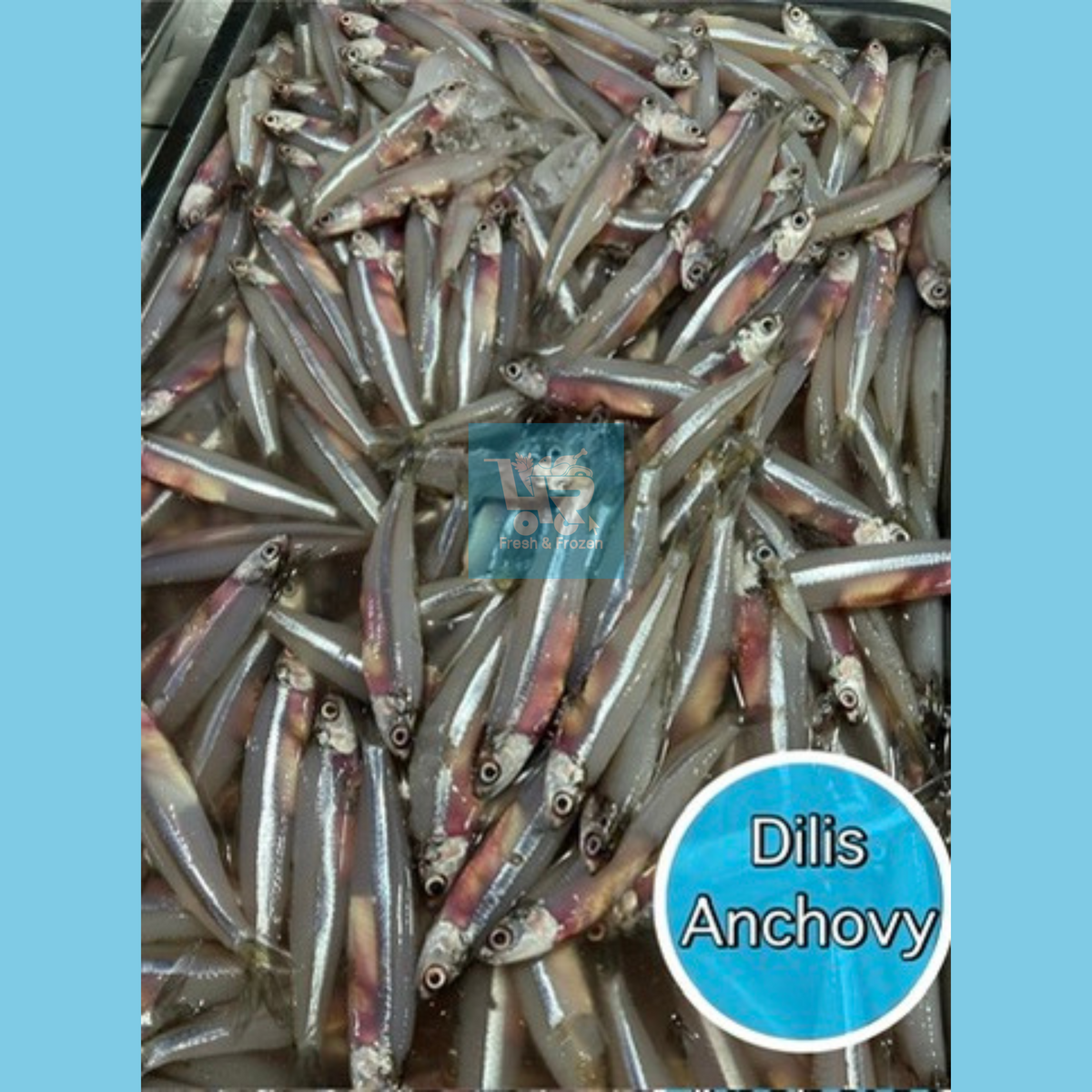 Dilis (Anchovy) – 4R Fresh And Frozen