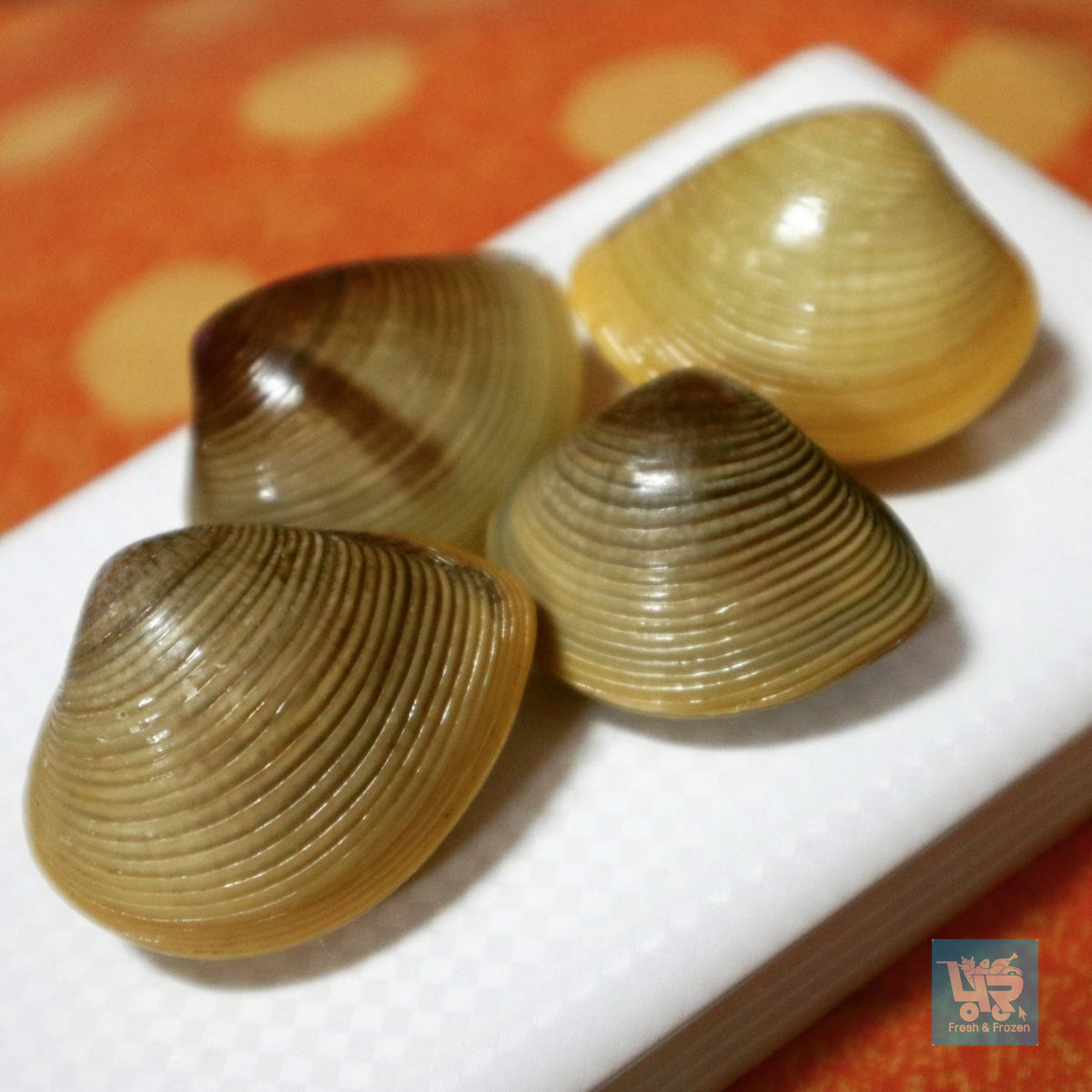 Clam (Halaan) – 4R Fresh And Frozen