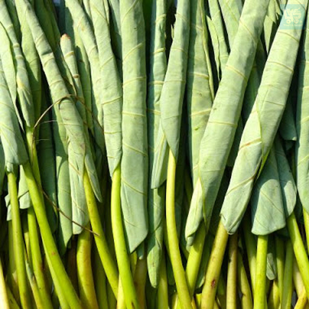 Laing Fresh / Taro Leaves – 4R Fresh And Frozen