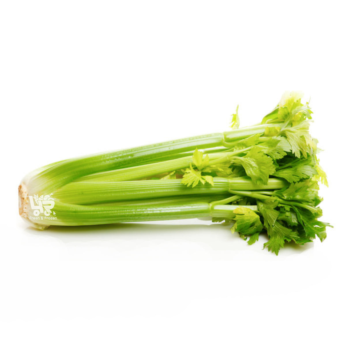 Celery – 4R Fresh And Frozen
